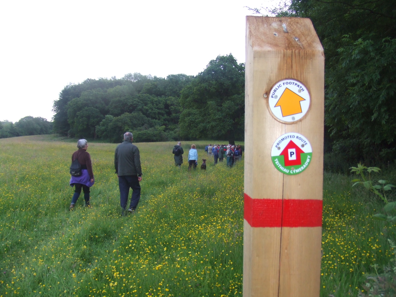 Waymarkers & Rural Sign Makers - Metrosigns